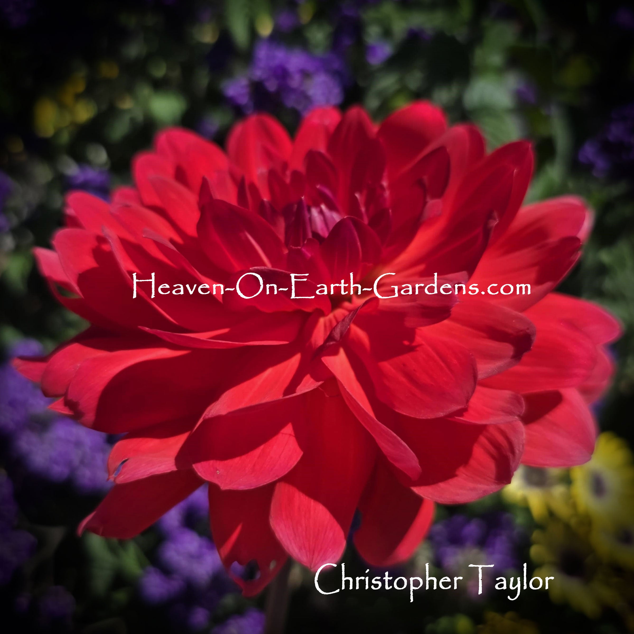 Christopher Taylor – Heaven On Earth Gardens