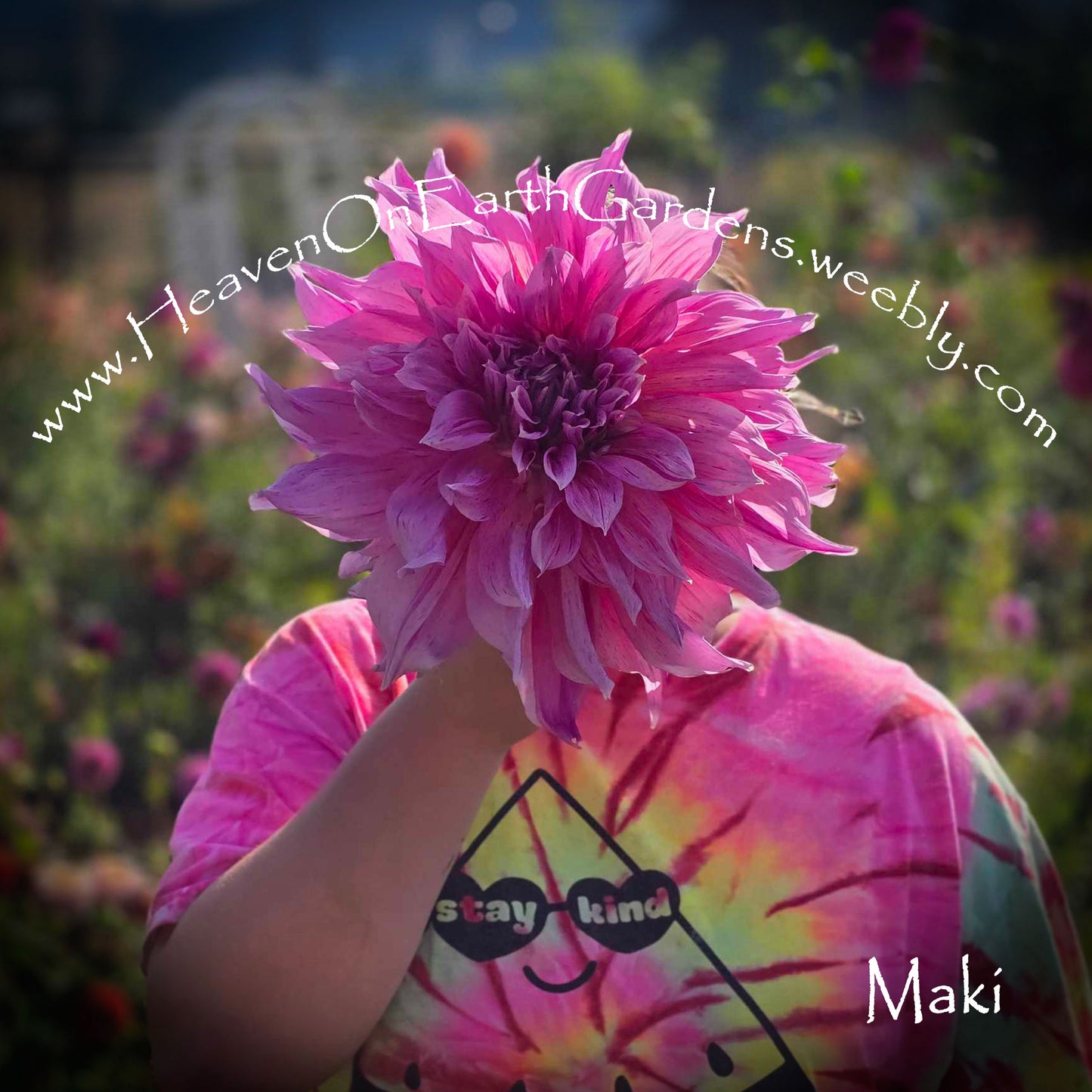 Maki – Heaven On Earth Gardens